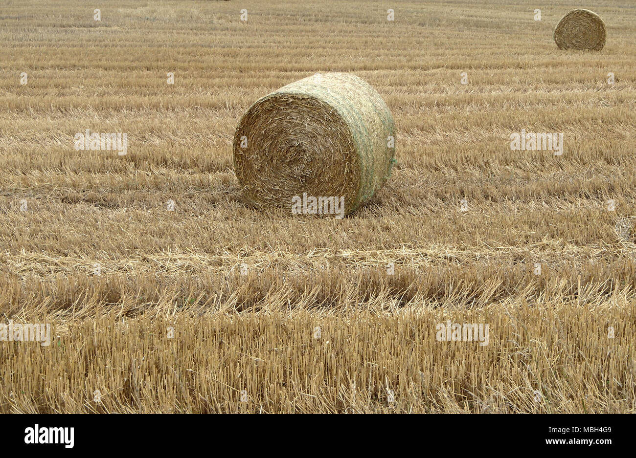 Grass straw field hi-res stock photography and images - Alamy