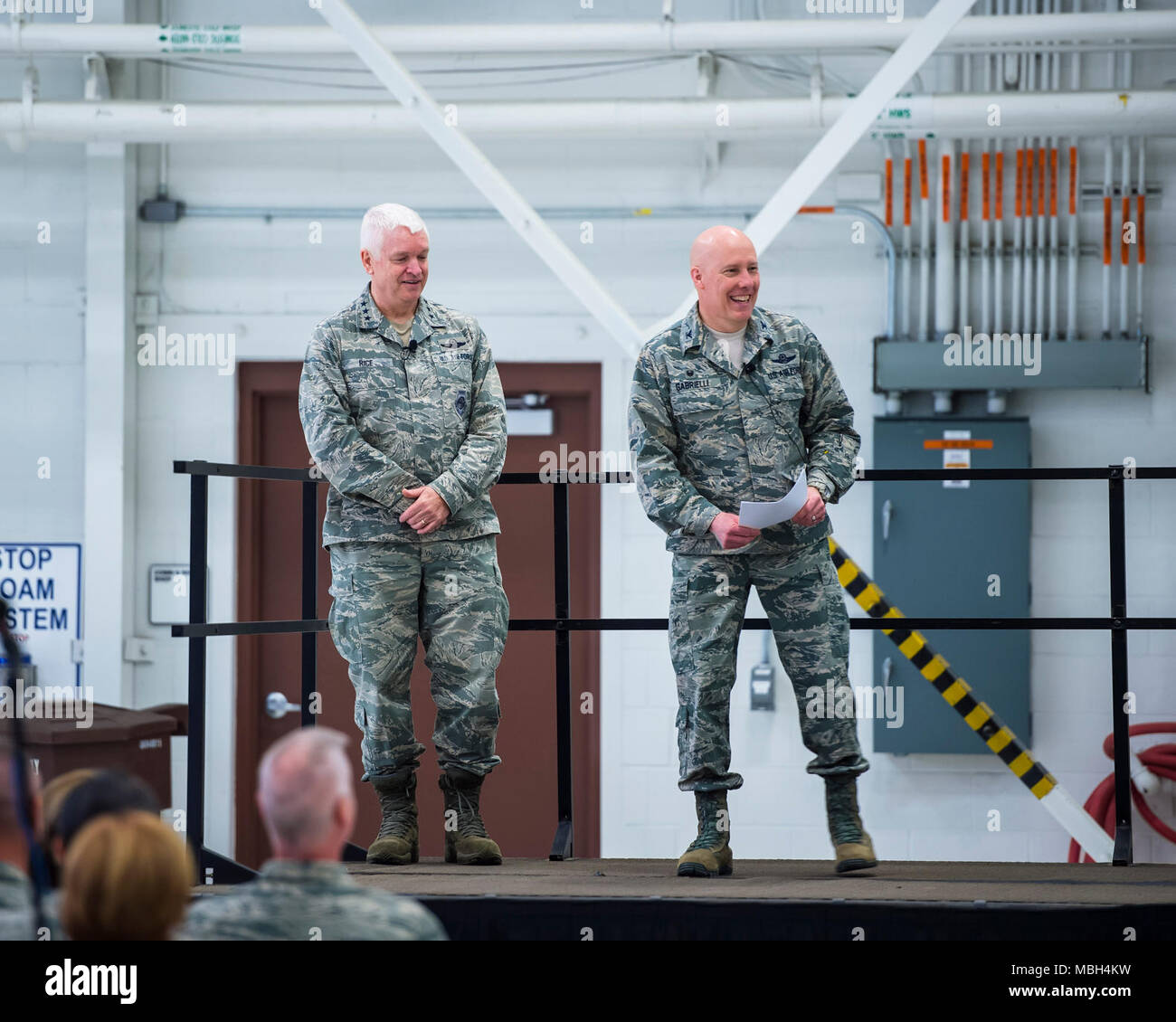 U.S. Air Force Col. Daniel Gabrielli, commander of the 133rd Airlift ...