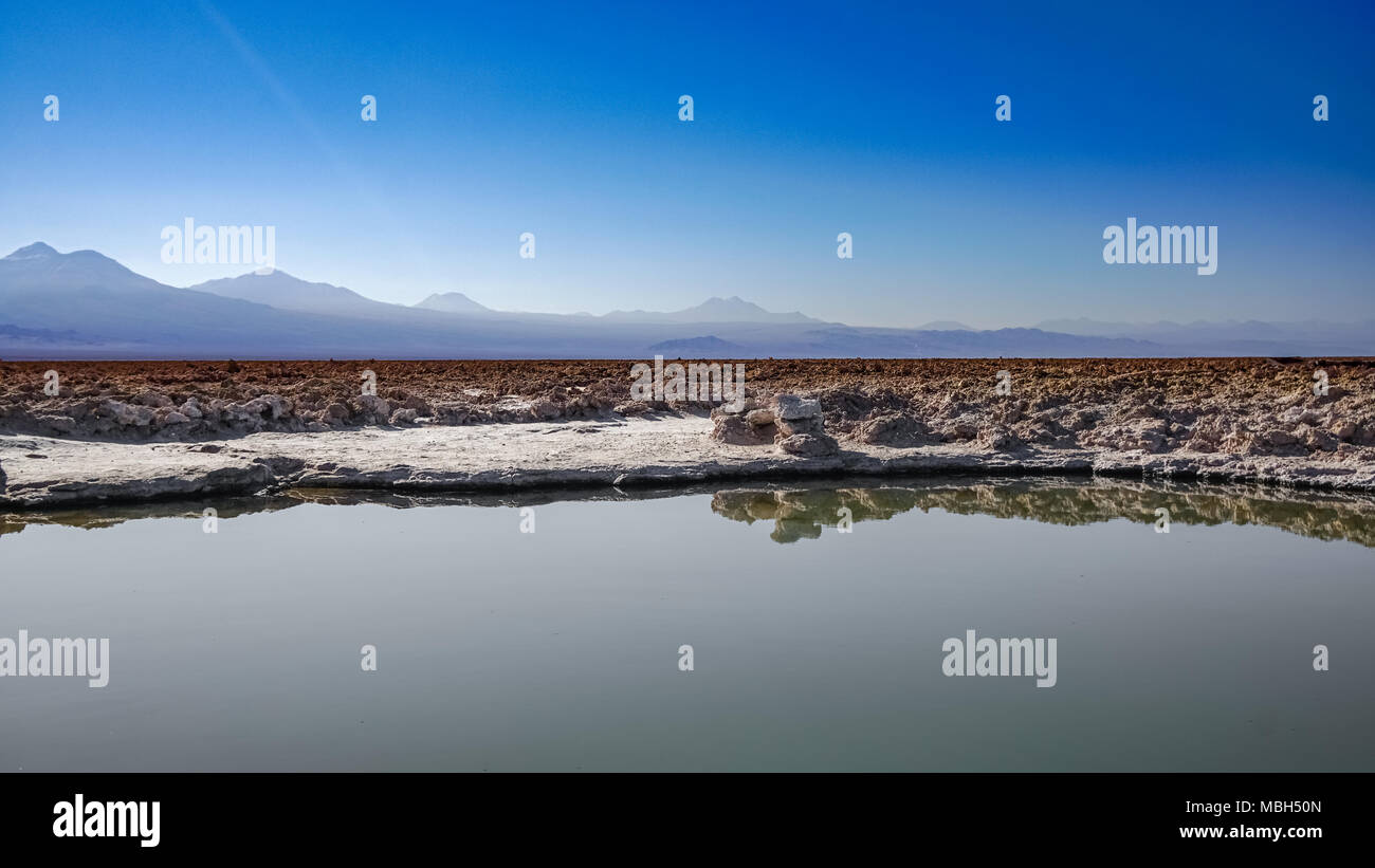 Atacama Lakes, Mountains and Wildlife Stock Photo - Alamy
