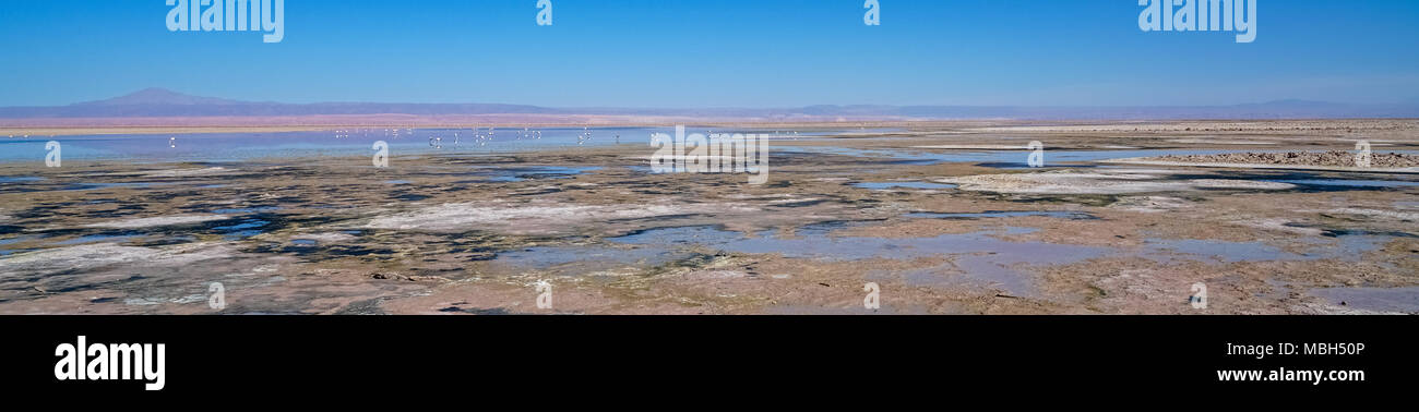 Atacama Lakes, Mountains and Wildlife Stock Photo - Alamy