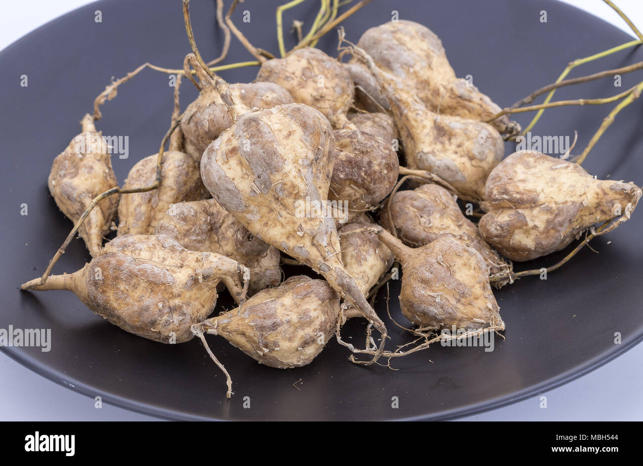 Pachyrhizus erosus hi-res stock photography and images - Alamy
