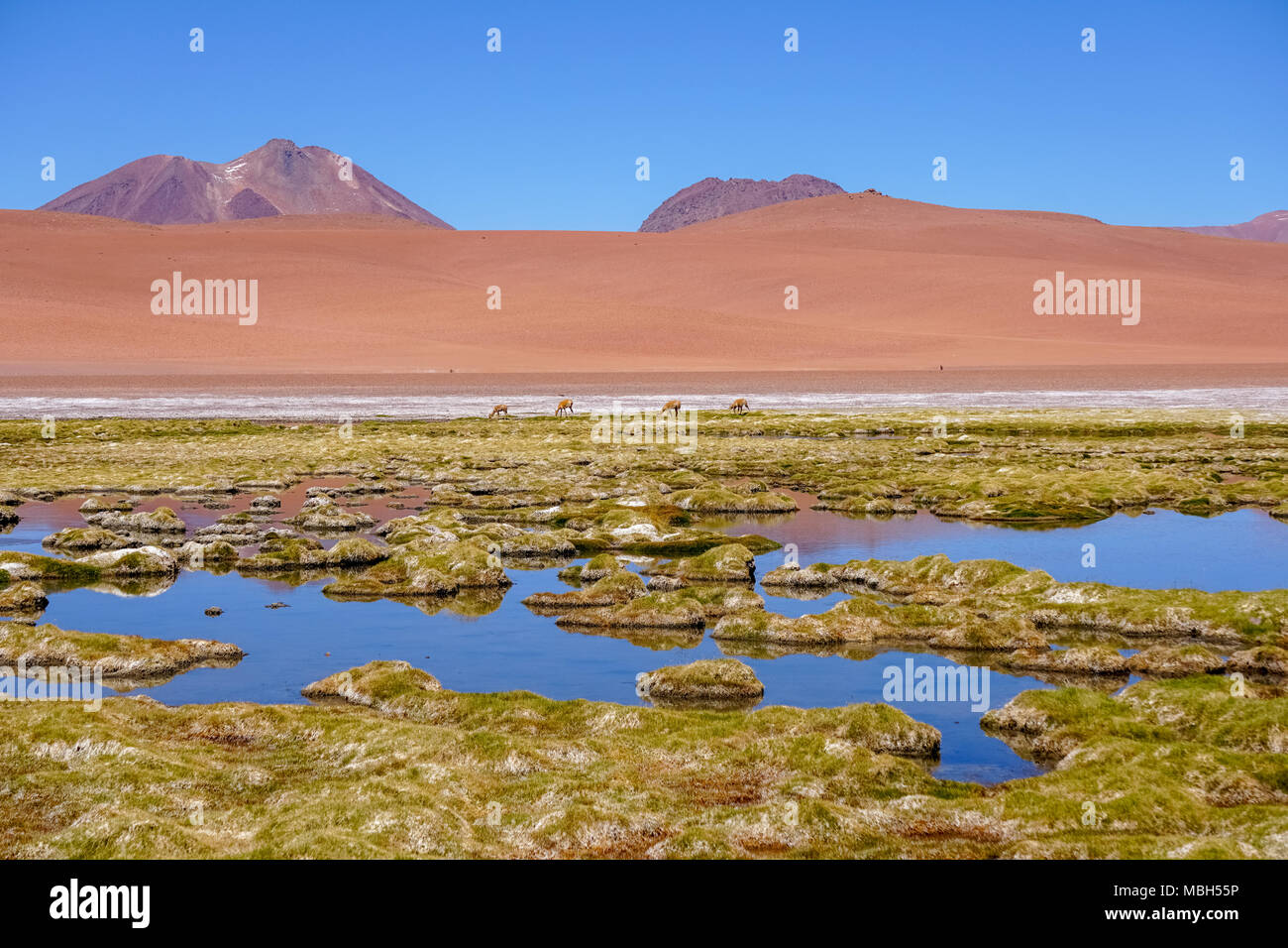 Andes deserts hi-res stock photography and images - Alamy