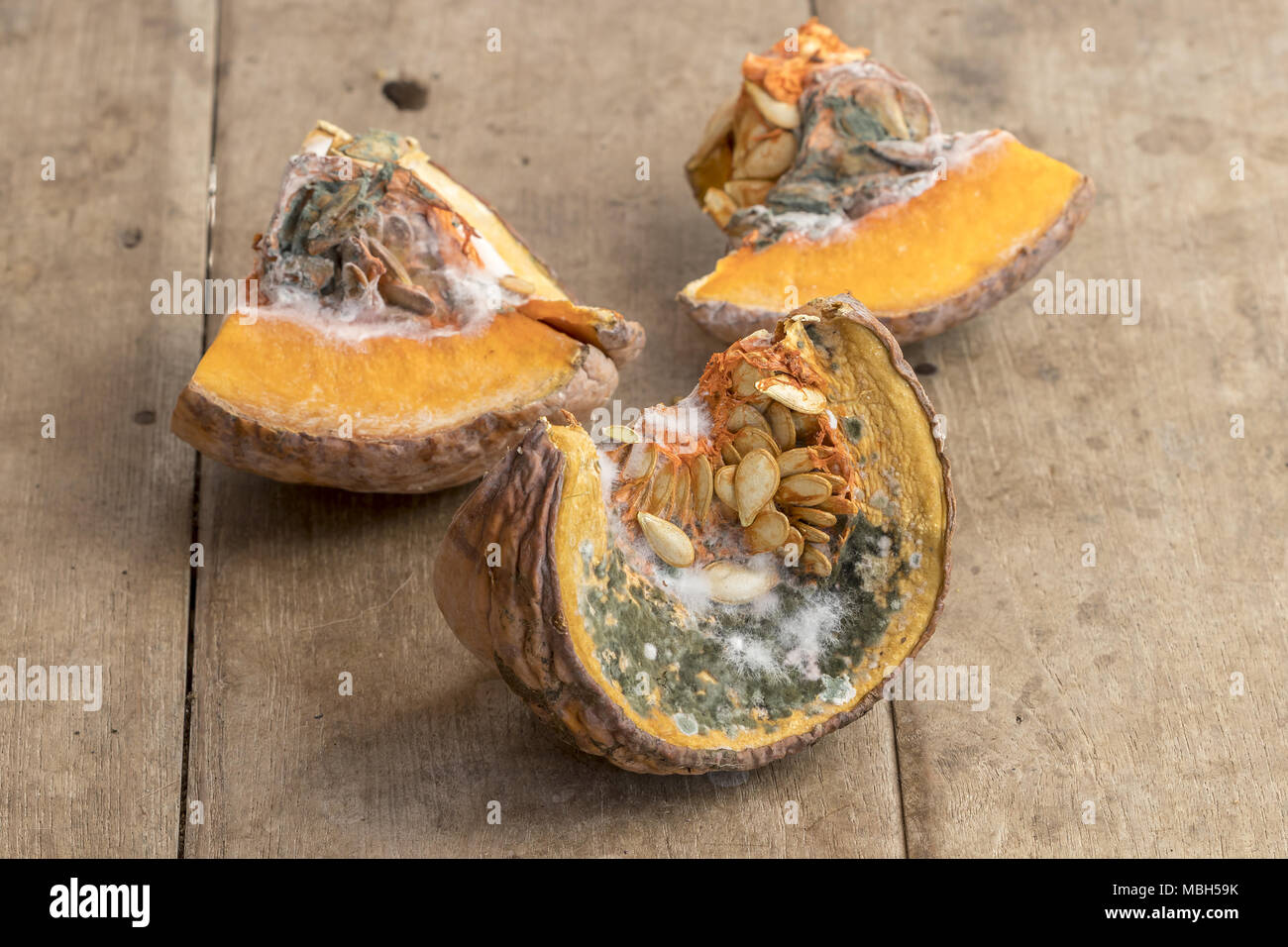 Orange pumpkin fungus hi-res stock photography and images - Alamy