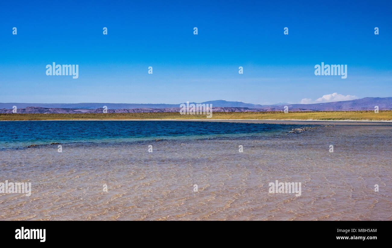 Atacama Lakes and Desert Stock Photo - Alamy