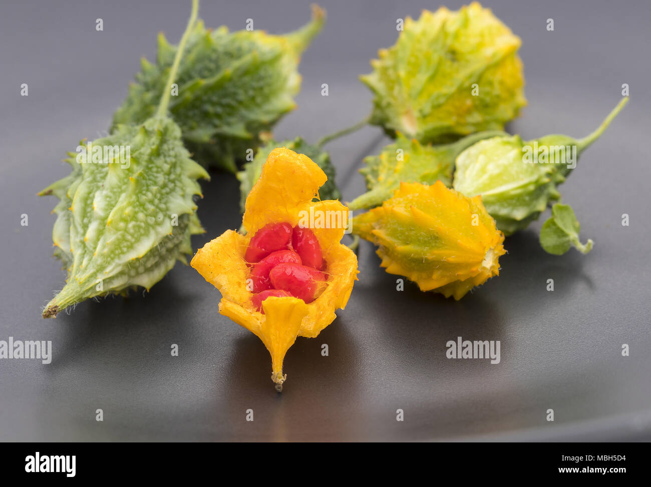 Bitter gourd seeds hi-res stock photography and images - Alamy