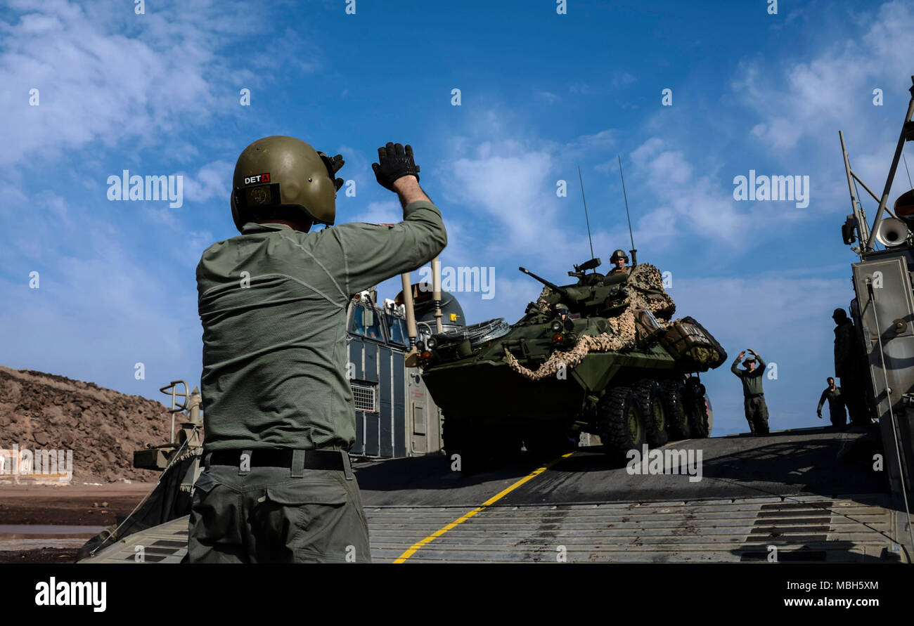 Alligator amphibious vehicle hi-res stock photography and images - Alamy