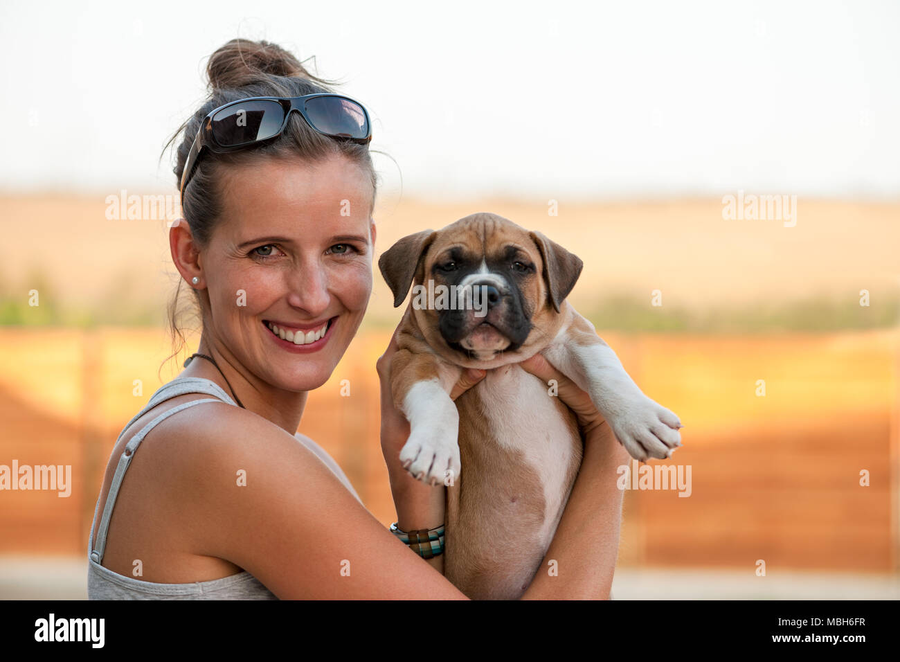 Young happy girl holding a cute American Staffordshire Terrier Puppy in ...