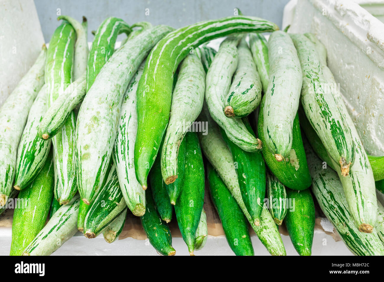 fresh organic zucchini (zucchini Stock Photo - Alamy