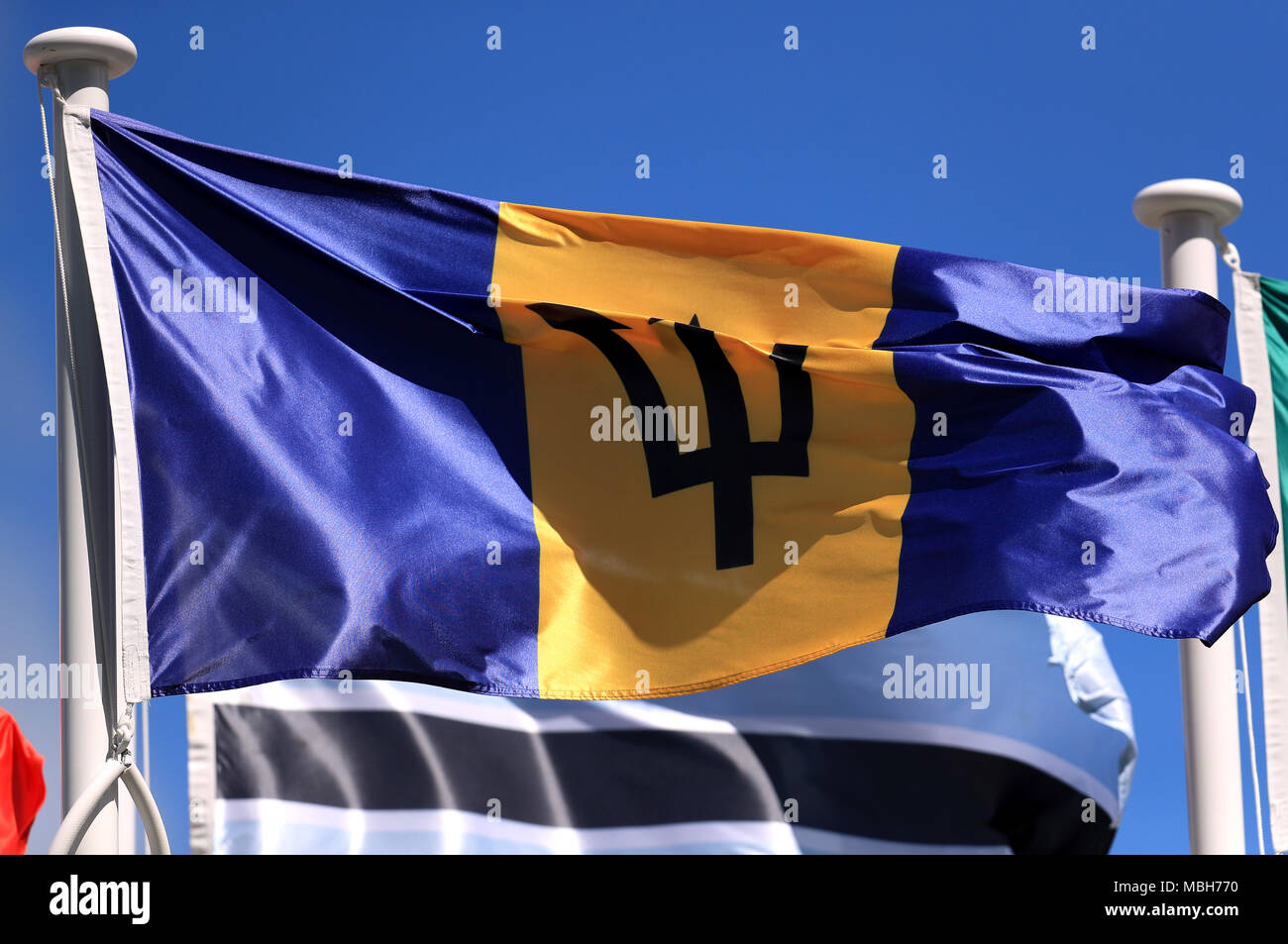 The flag of Barbados on a pole at the Commonwealth Games Stock Photo ...