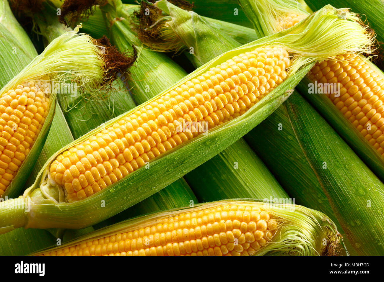 Agricultural products hi-res stock photography and images - Alamy