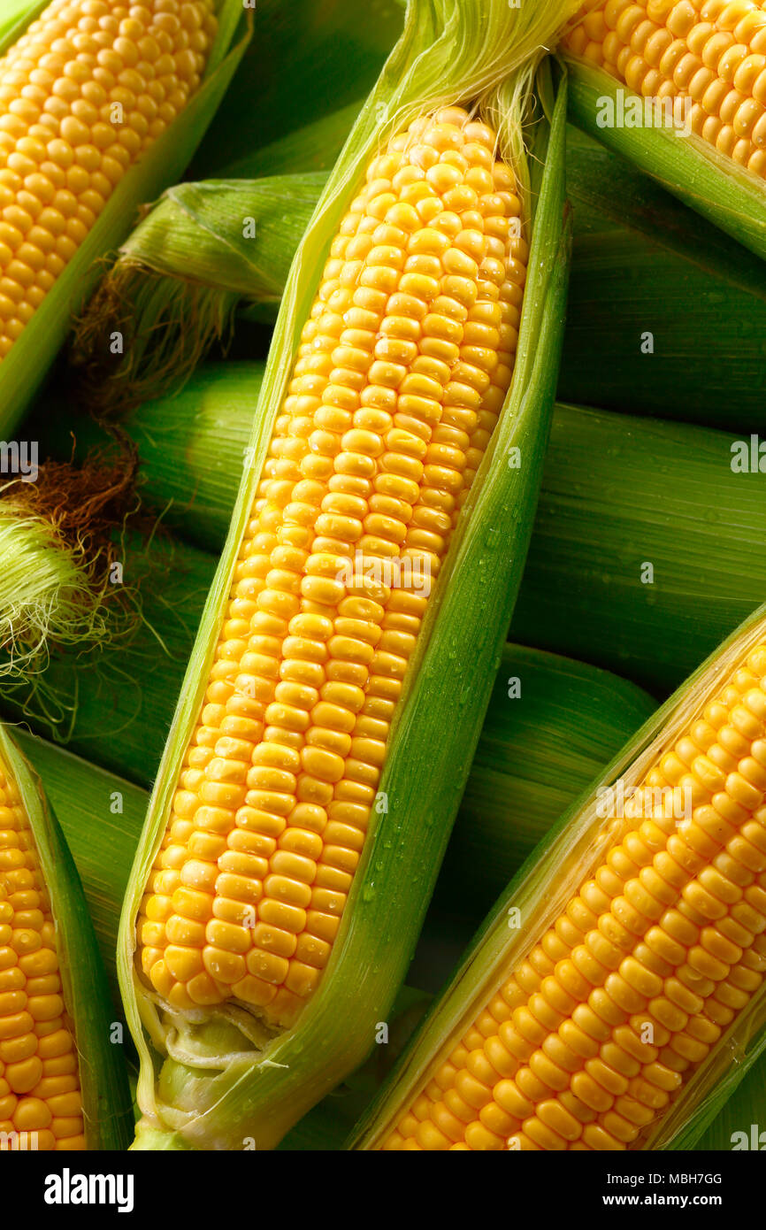 Beard products hi-res stock photography and images - Alamy