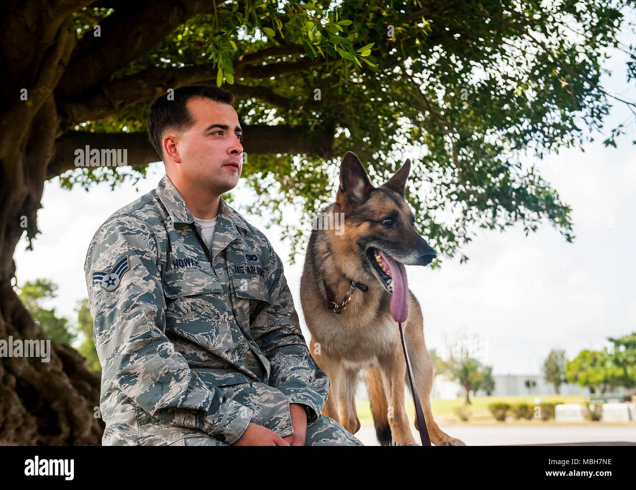 Security forces k9 handler dog hi-res stock photography and images - Alamy