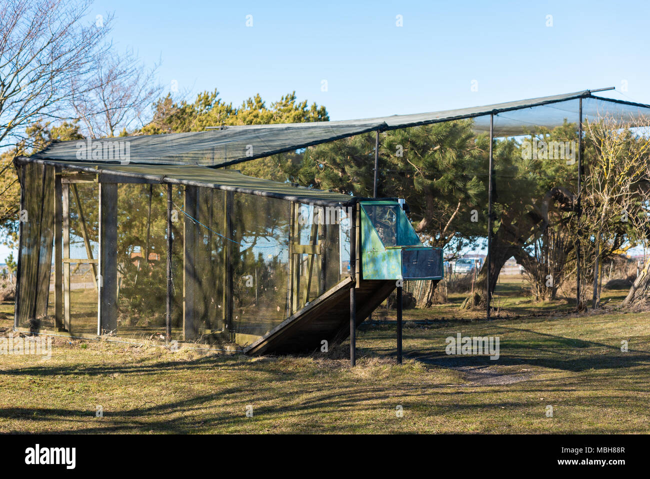 Netted bird trap for catching birds that will be ringed and released ...