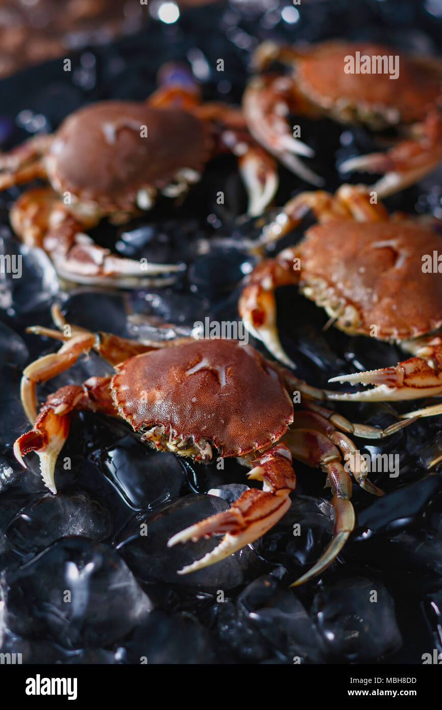 Raw crab hi-res stock photography and images - Alamy