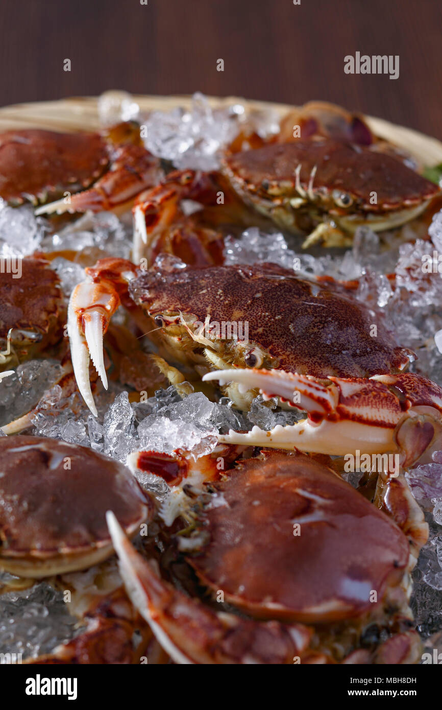 Raw crab hi-res stock photography and images - Alamy