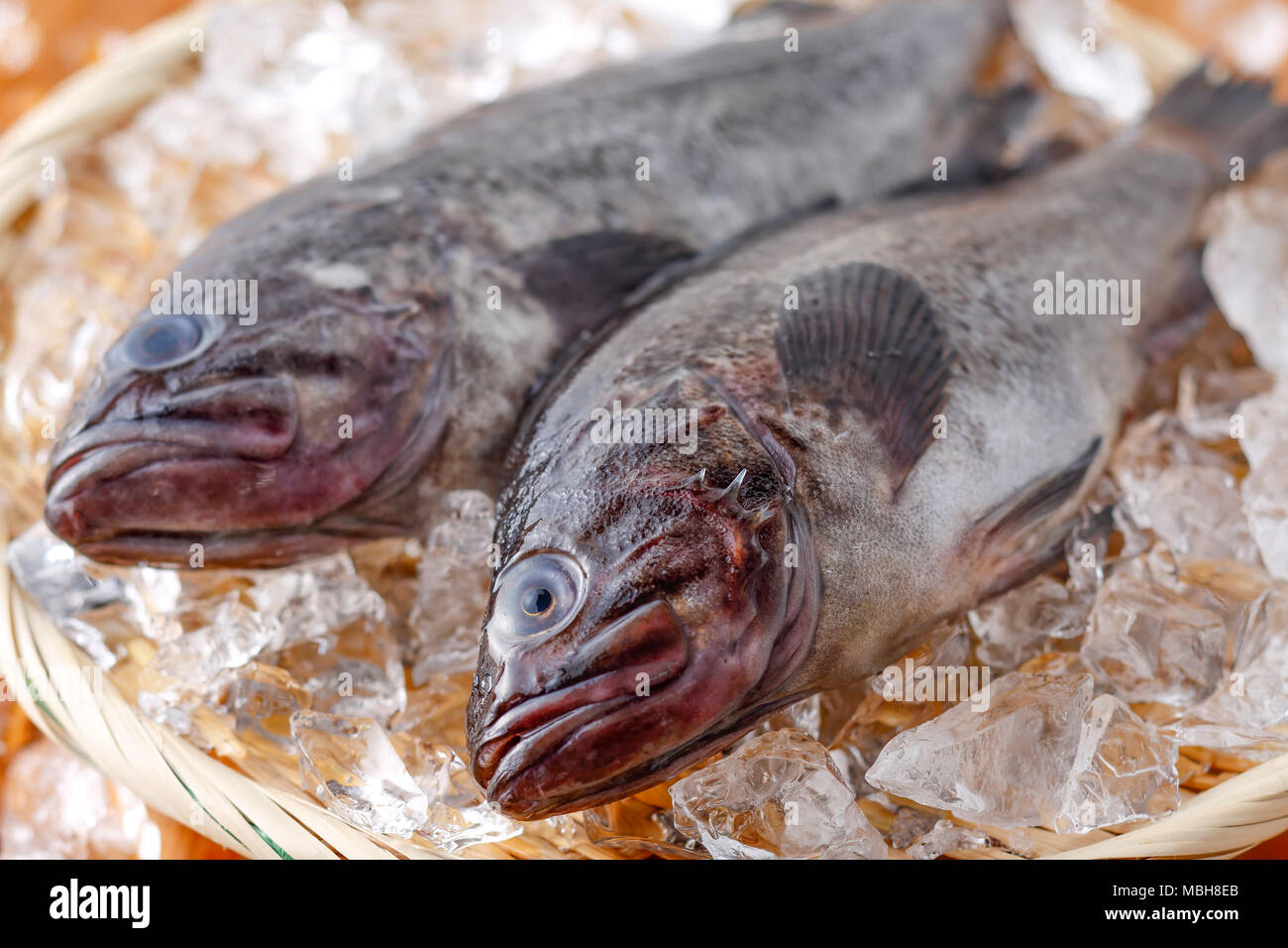 Prime fish hi-res stock photography and images - Alamy