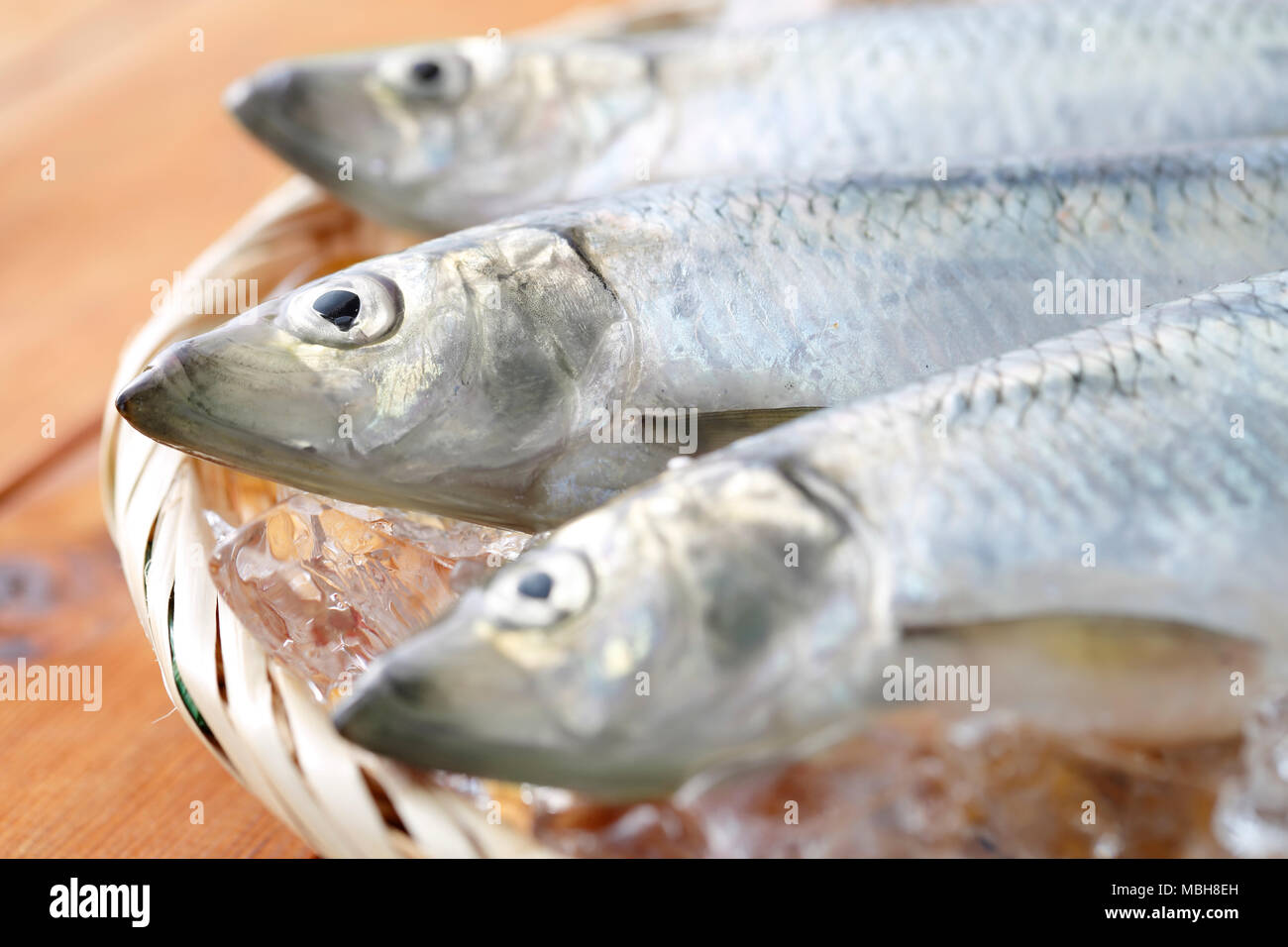 Prime fish hi-res stock photography and images - Alamy
