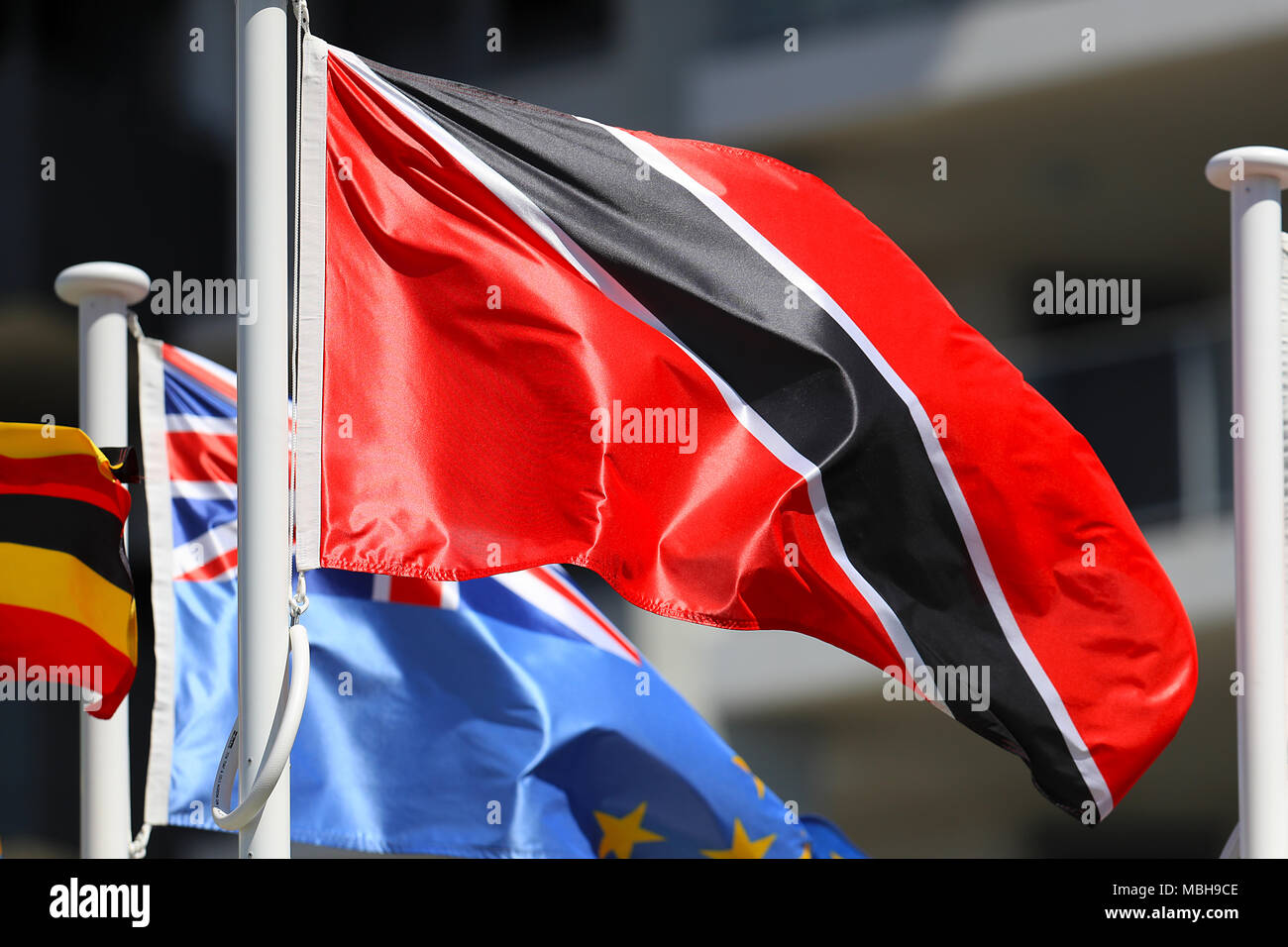 The flag of Trinidad and Tobago on a pole at the Commonwealth Games ...