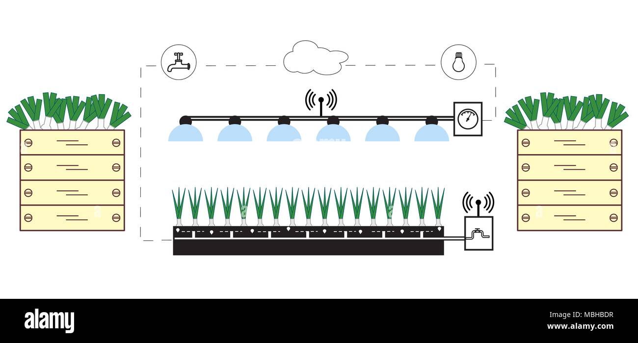 Smart farm and agriculture. Monitoring and control of temperature ...