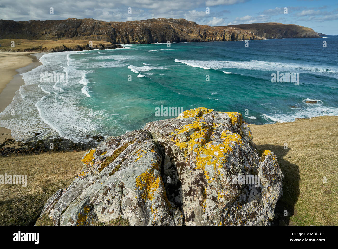 Big rock covered in vivid yellow lichen overlooking surf beach with ...