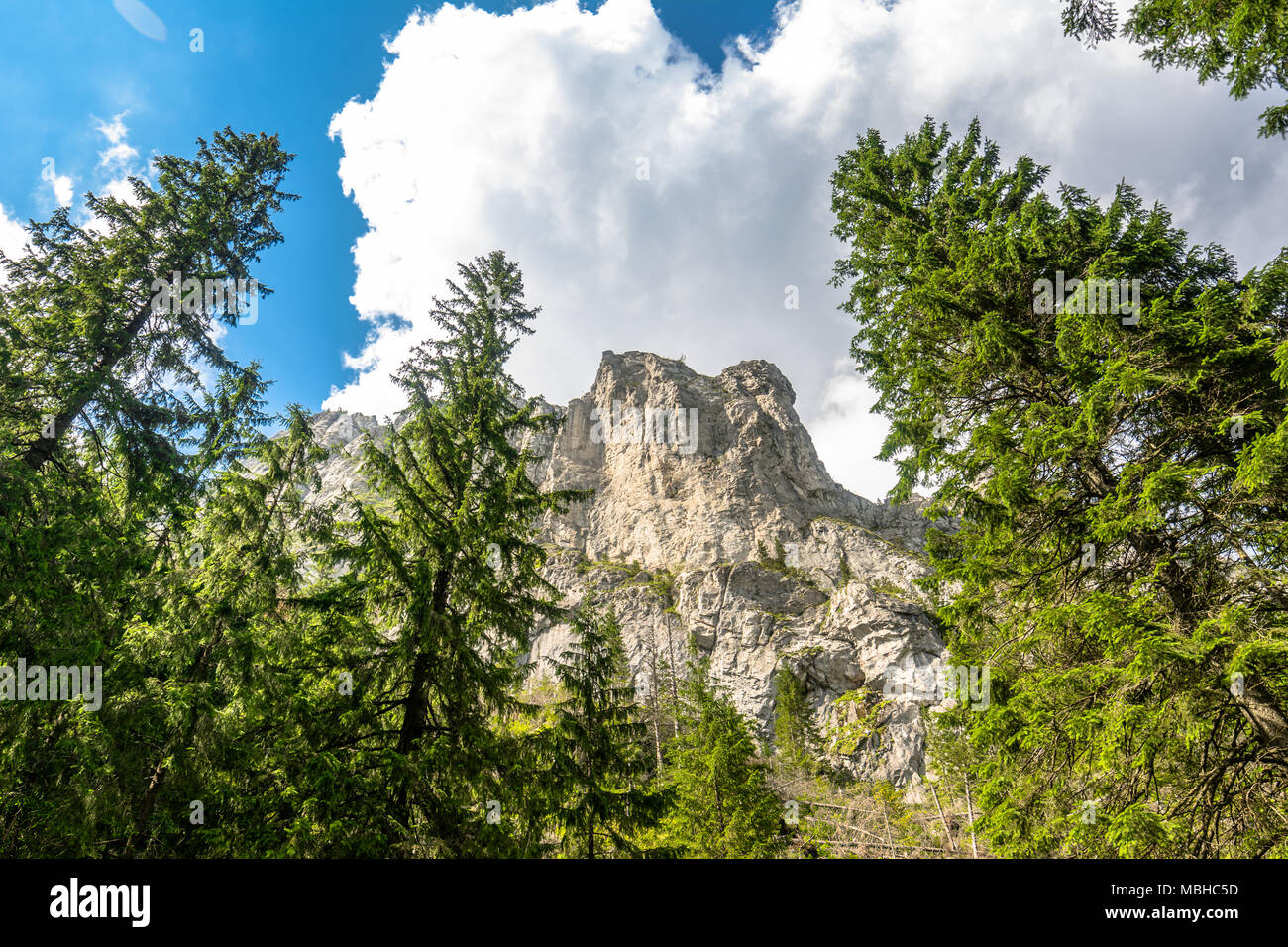 Rocks on mountain top on sky background spring landscape with pine ...