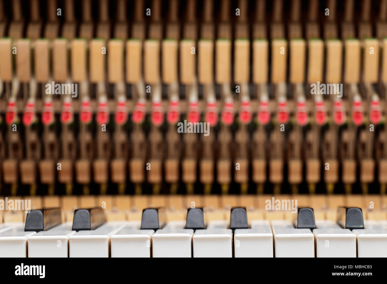close up image of grand piano keys and interior showing strings, hammer ...