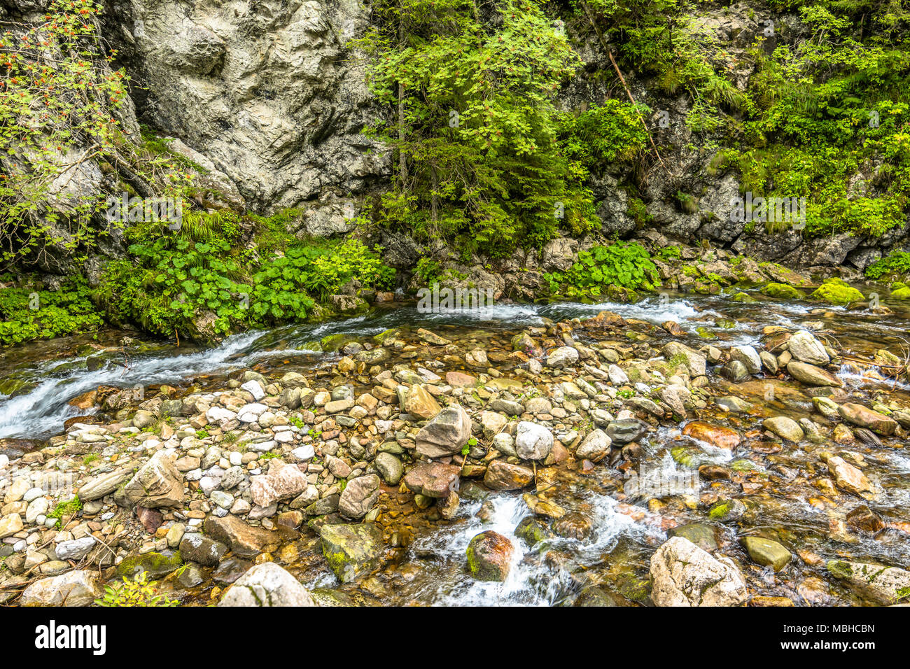 Mountain river in riverbed with flowing water from the source Stock ...