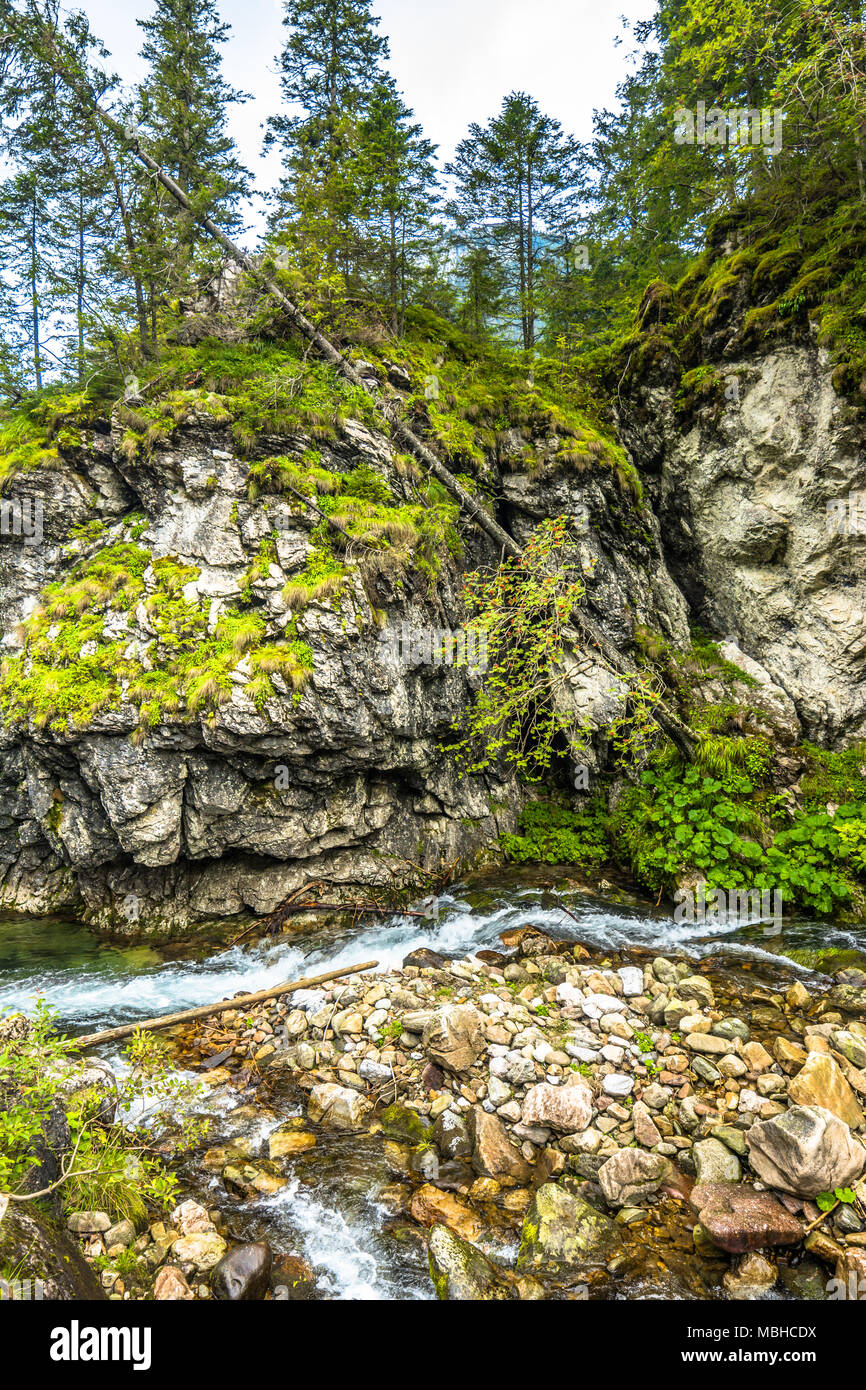 Spring landscape of mountain creek in canyon with fast flowing water ...