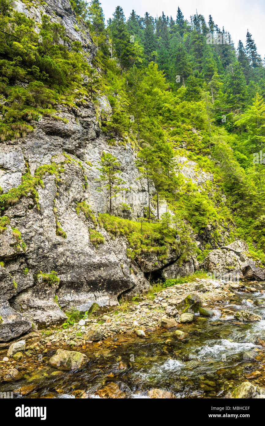 Rapid flow water from mountain hi-res stock photography and images - Alamy