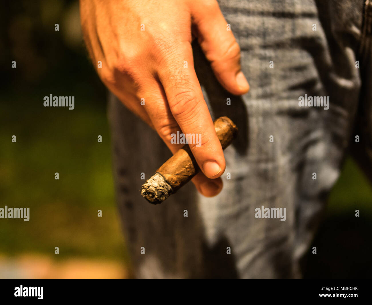 Hand holding cigar hi-res stock photography and images - Alamy