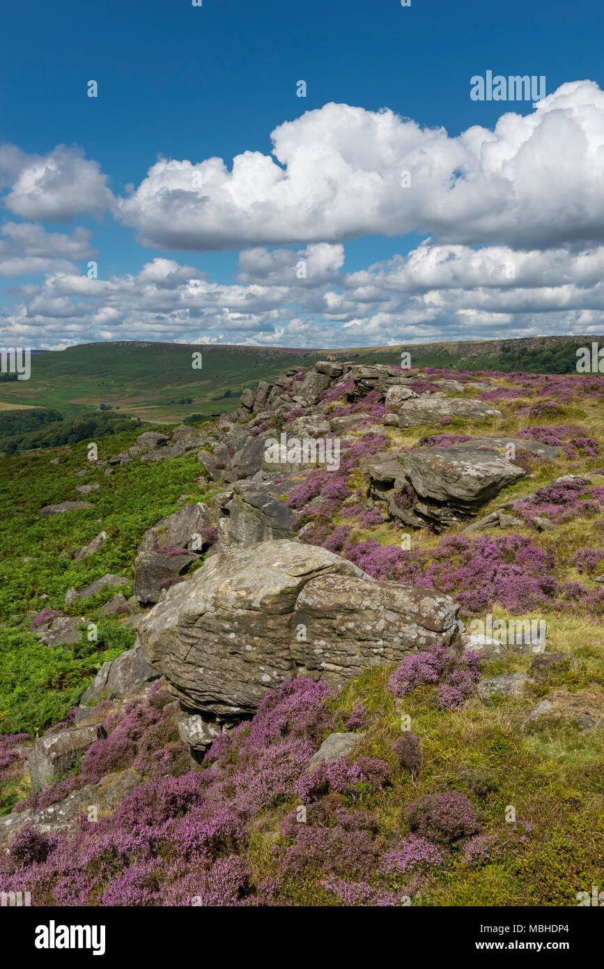 Summer day at Carhead rocks near Hathersage in the Peak District ...