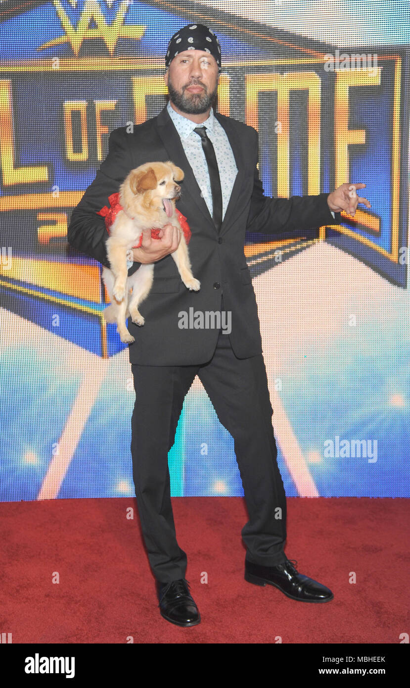 New Orleans, LA, USA. 6th Apr, 2018. Sean Waltman at WWE's 2018 Hall Of ...