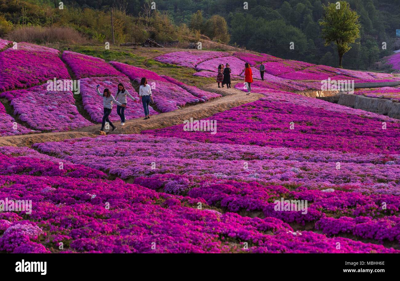Chuancang hi-res stock photography and images - Alamy