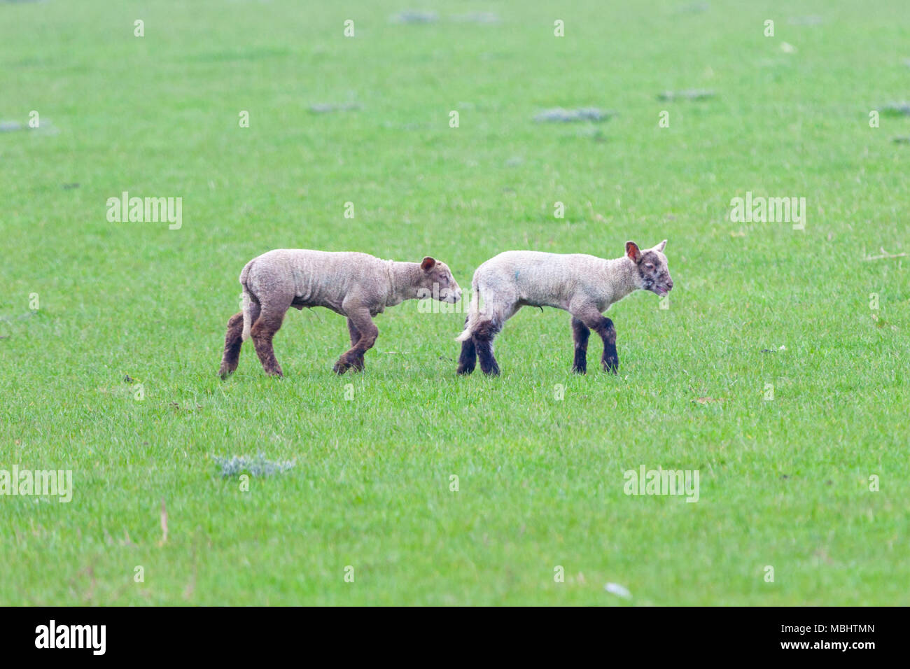 Weather uk april 11th hi-res stock photography and images - Alamy