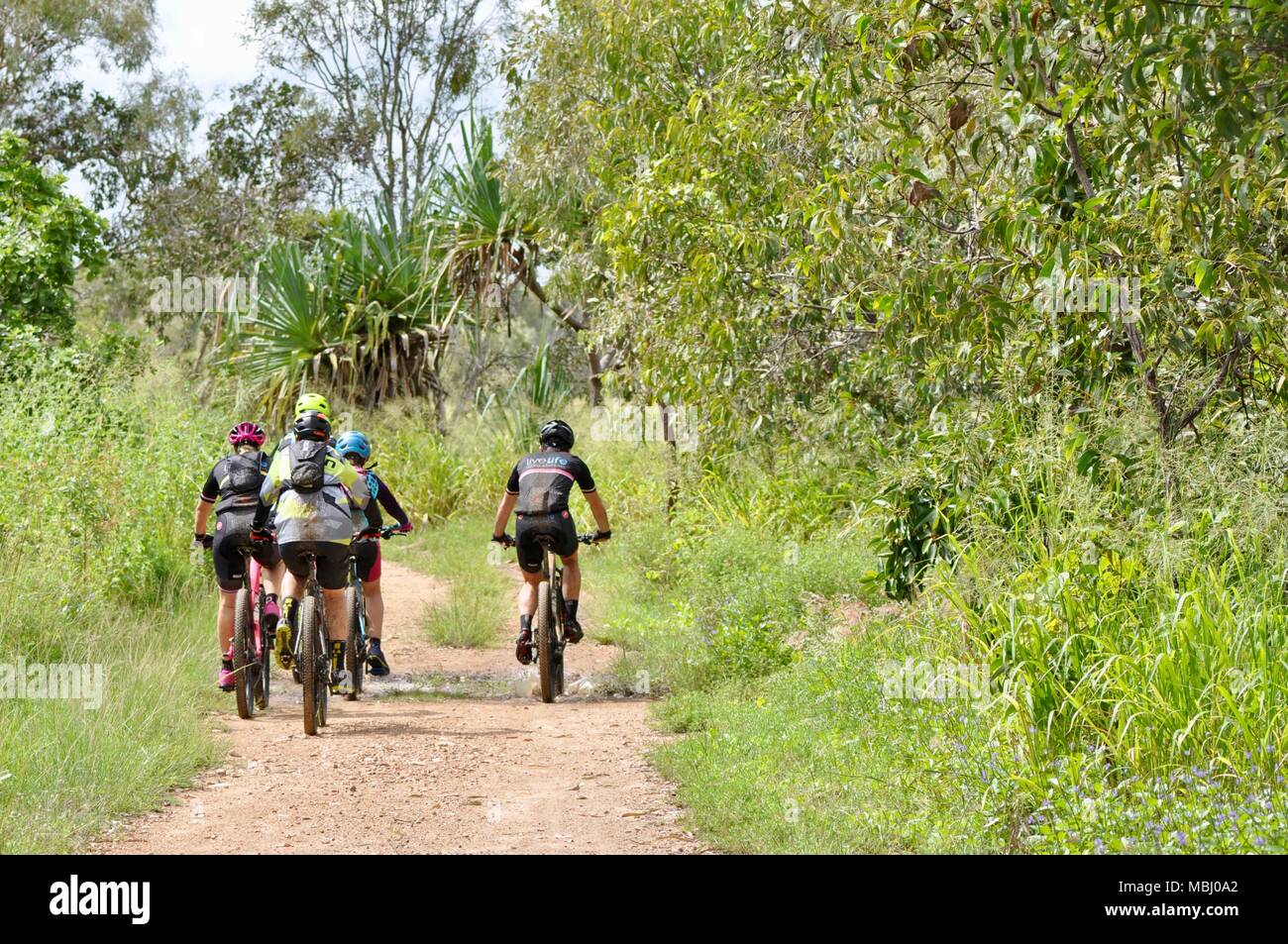 Groups of people mountain biking on the lagoon trail, Townsville Town ...