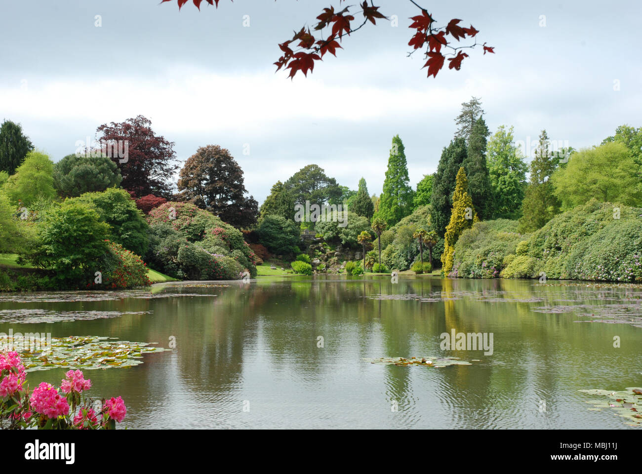 Sheffield Park Gardens Stock Photo - Alamy