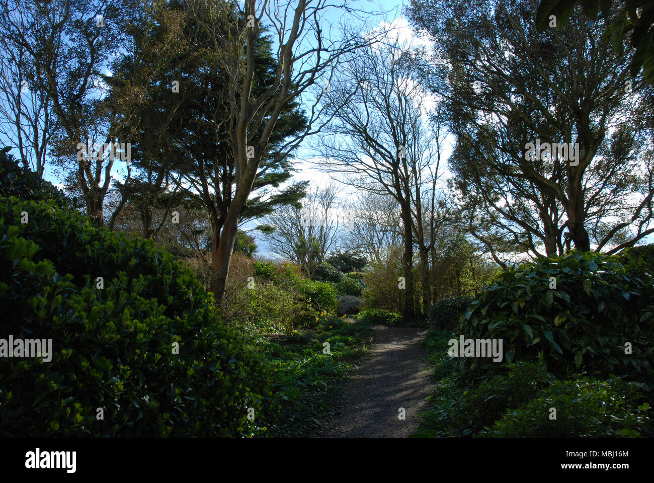 Bushes area hi-res stock photography and images - Alamy