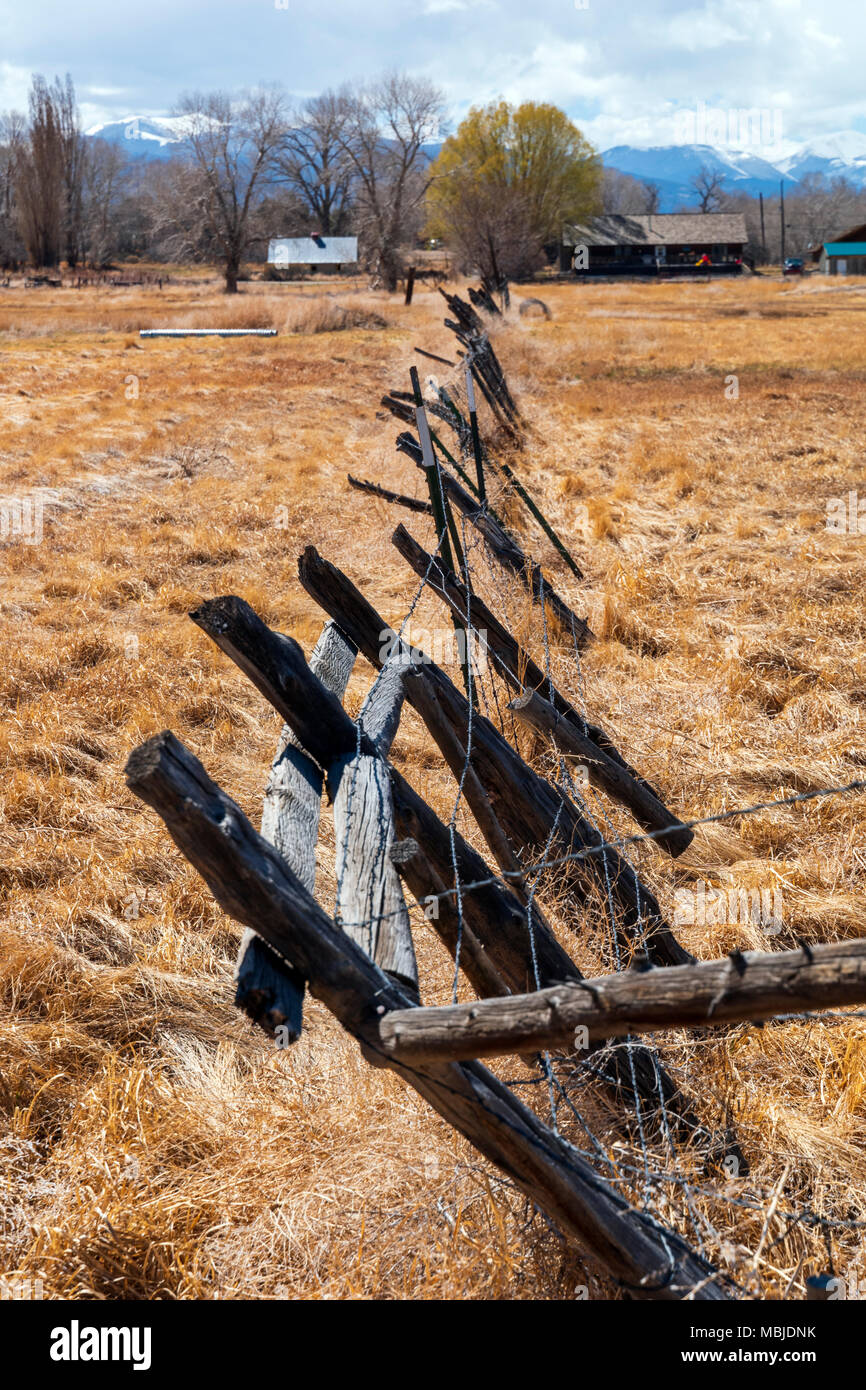 Pasture, barbed wire fence & Rocky Mountains beyond; Vandaveer Ranch ...