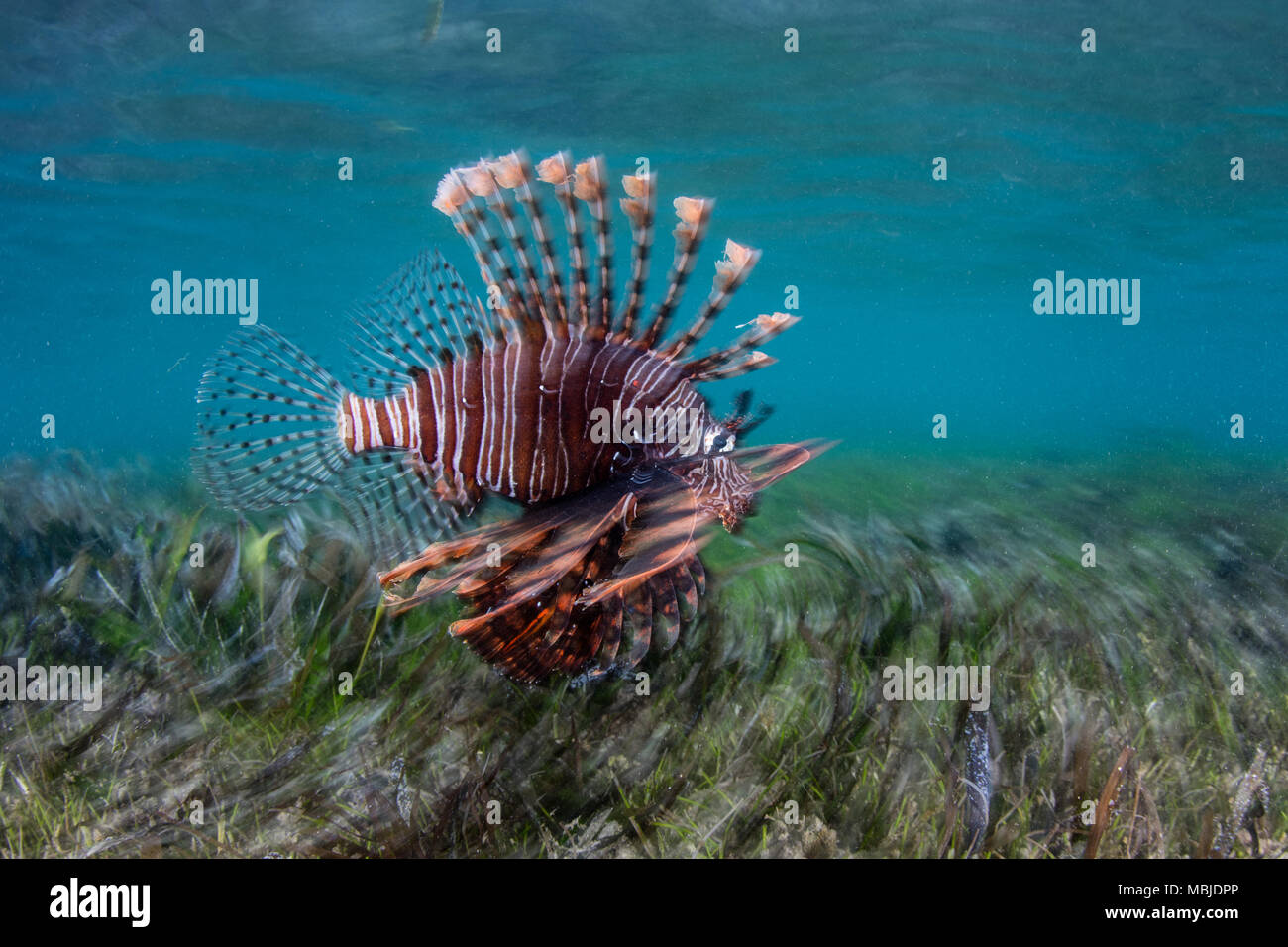 Sea triangle hi-res stock photography and images - Alamy