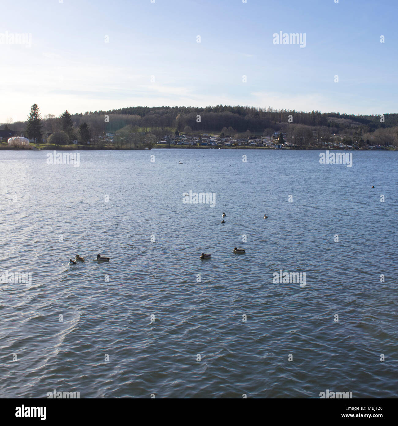 Naural lake in german sauerland Stock Photo - Alamy