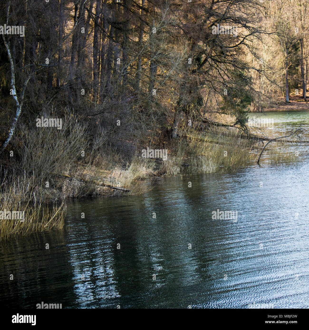 Naural lake in german sauerland Stock Photo - Alamy