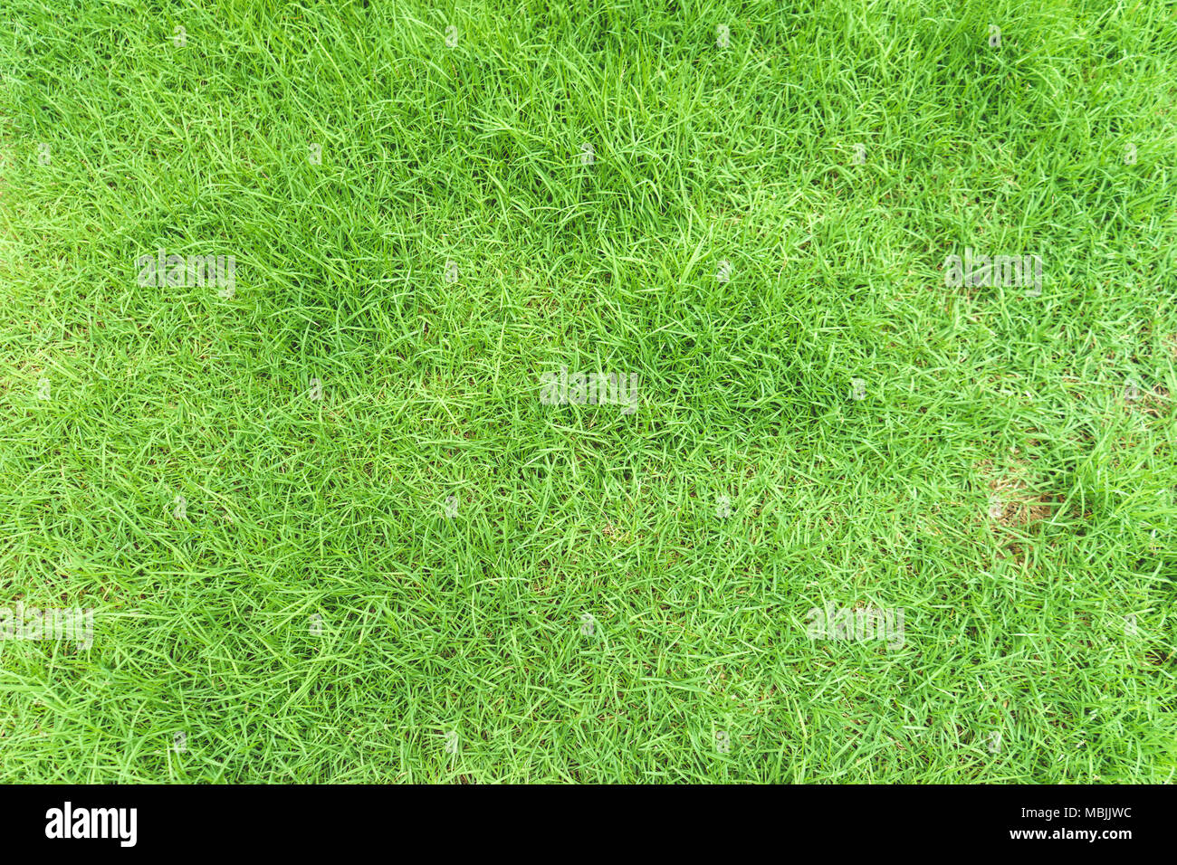 Overhead grass texture hi-res stock photography and images - Alamy