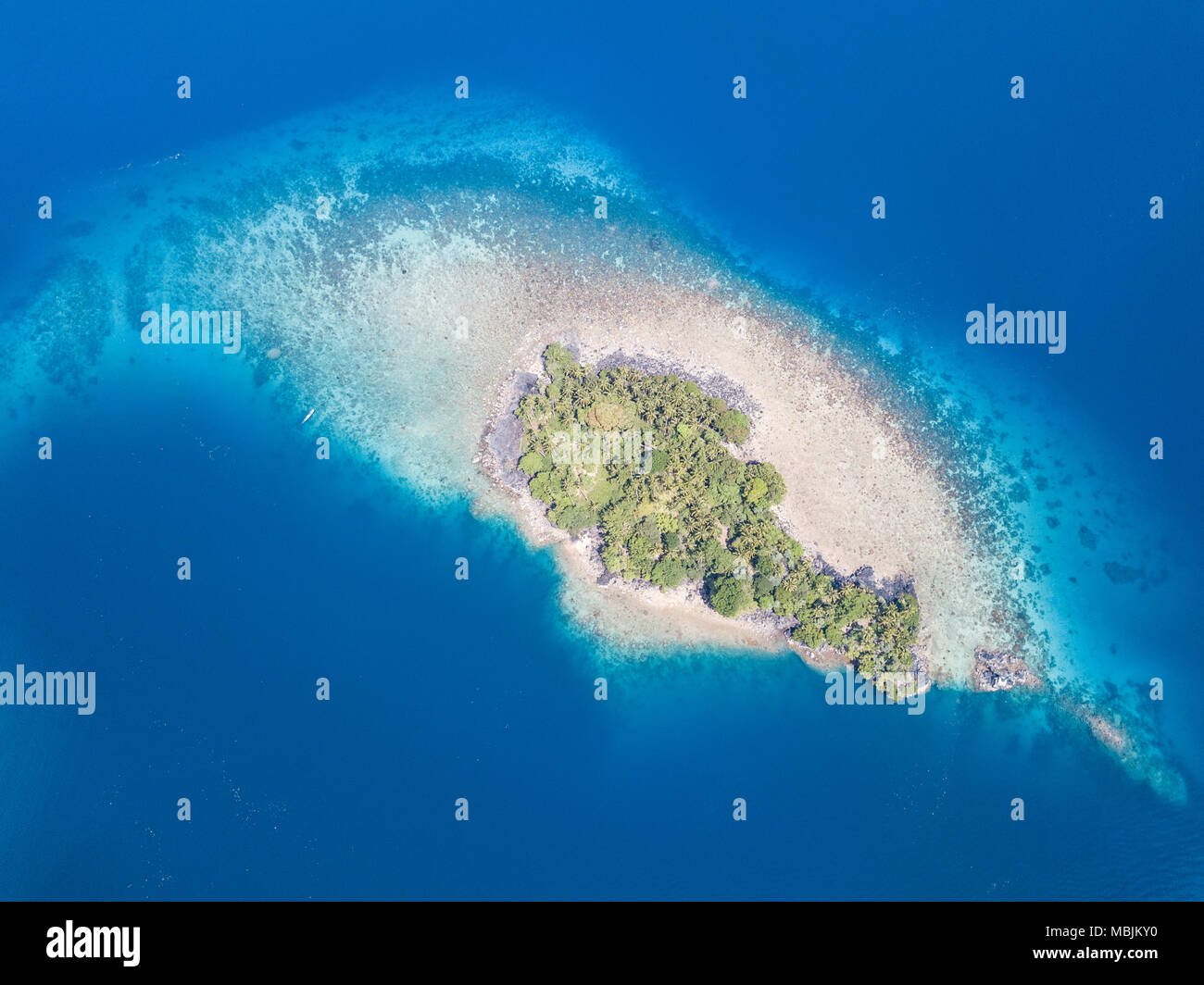 A beautiful coral reef grows near a remote Indonesian island in the ...