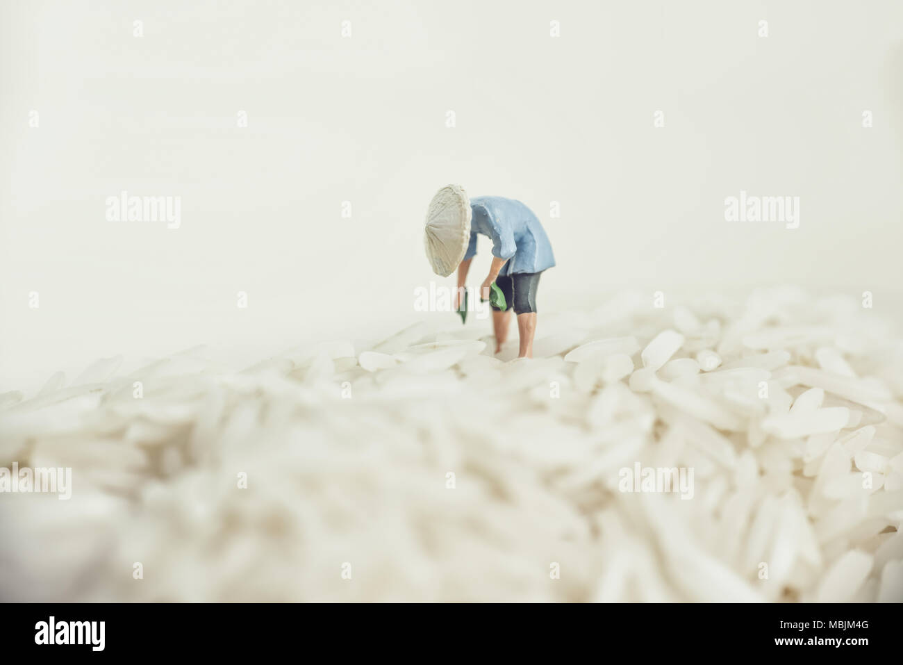 Asian farmer harvesting rice Stock Photo - Alamy