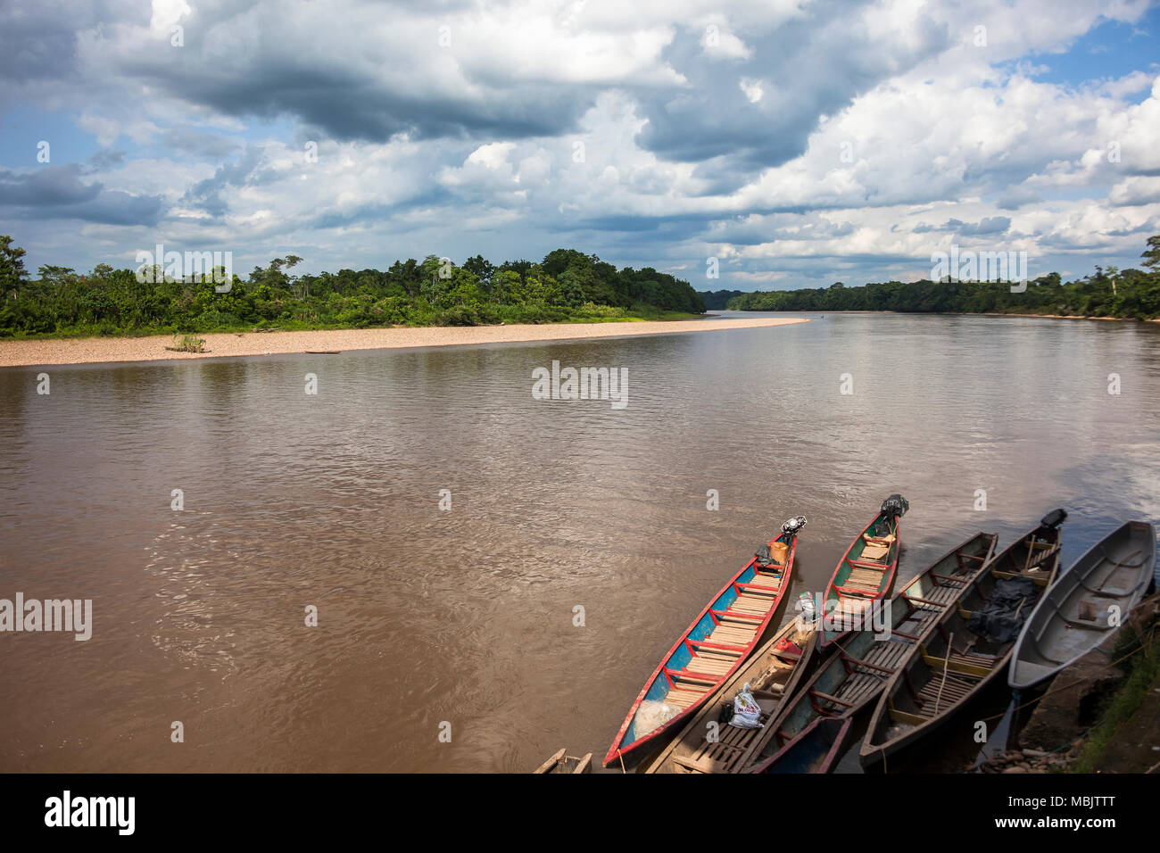 Amazon forest dragon hi-res stock photography and images - Alamy