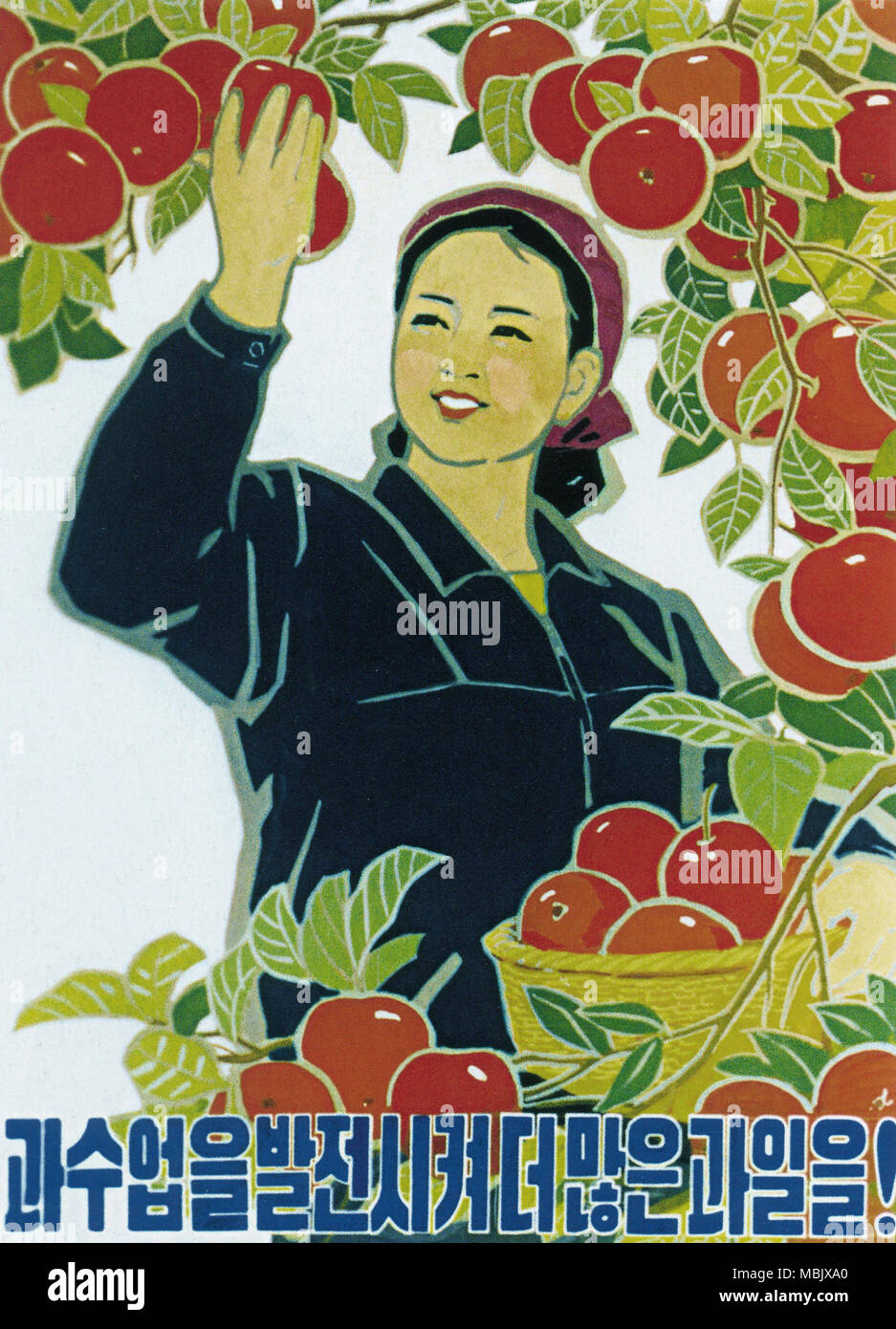 No more apples hi-res stock photography and images - Alamy