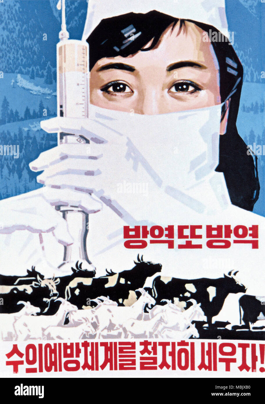 Prevention & more prevention. fully establish a veterinary system for ...