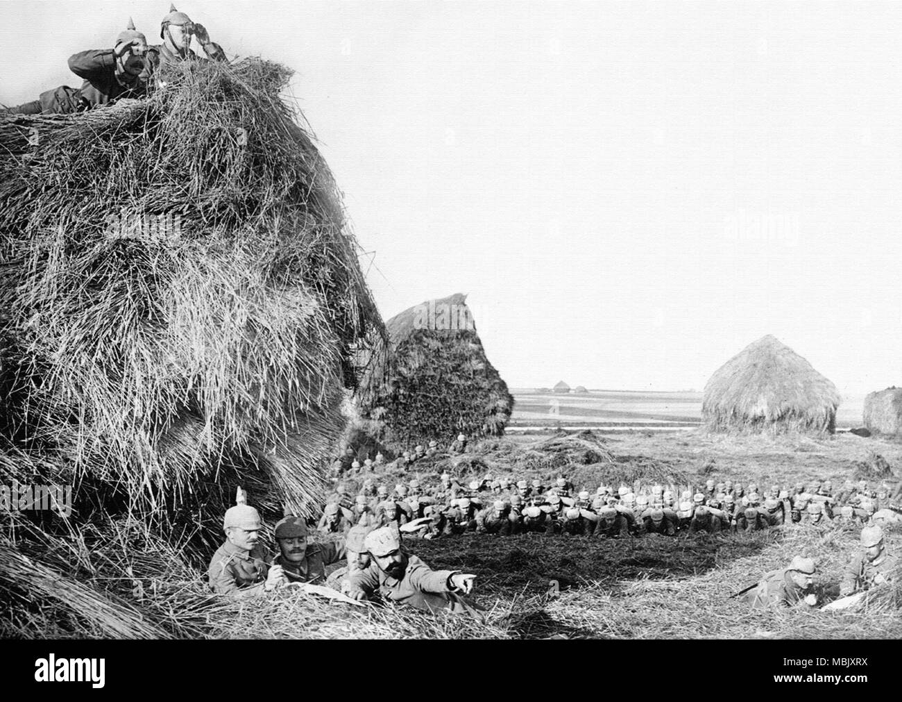 Make hay while the sun shines hi-res stock photography and images - Alamy