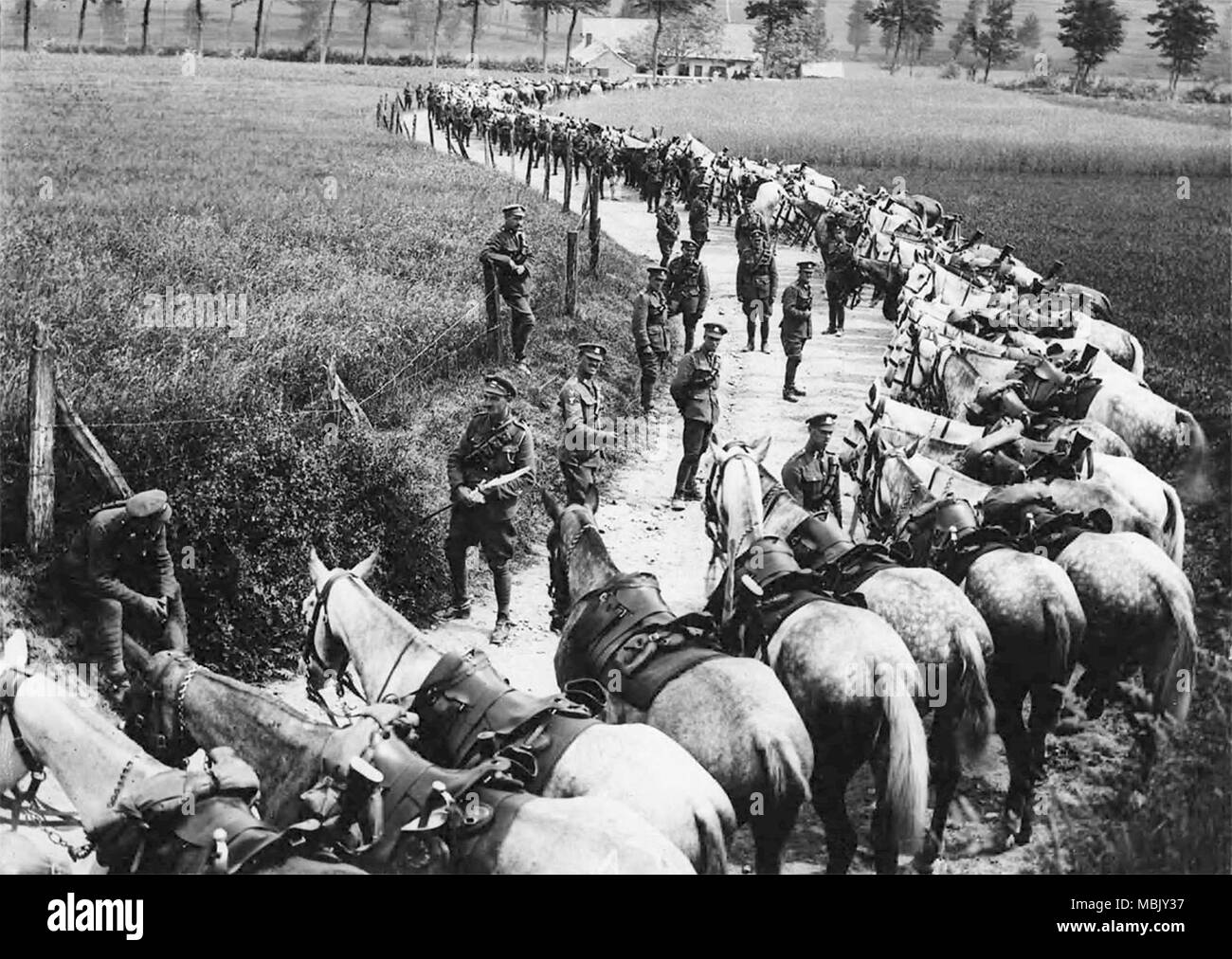 Royal Scots Cavalry Stock Photo - Alamy