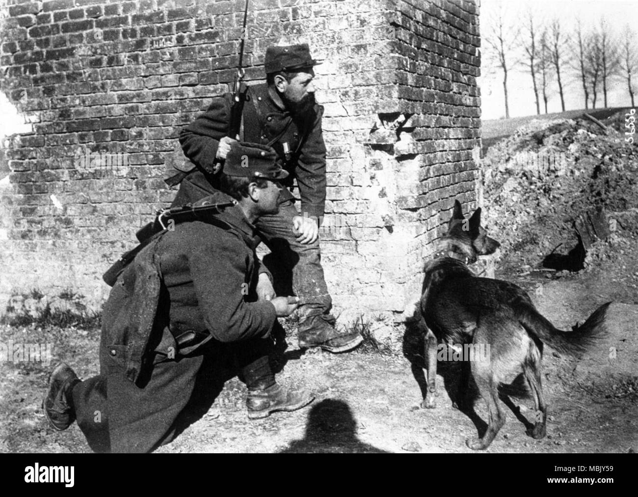 Wounded animals Black and White Stock Photos & Images - Alamy
